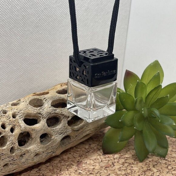 FANCY FOX BOUTIQUE | Other | Car Diffuser Perfume Plus 9ml Refill Air Freshenerfragrance Oil ...